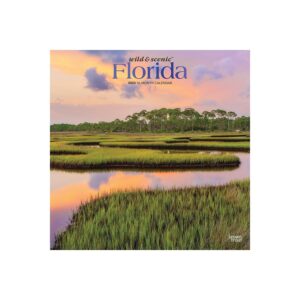 florida wild & scenic | 2023 12 x 24 inch monthly square wall calendar | foil stamped cover | browntrout | usa united states of america southeast state nature