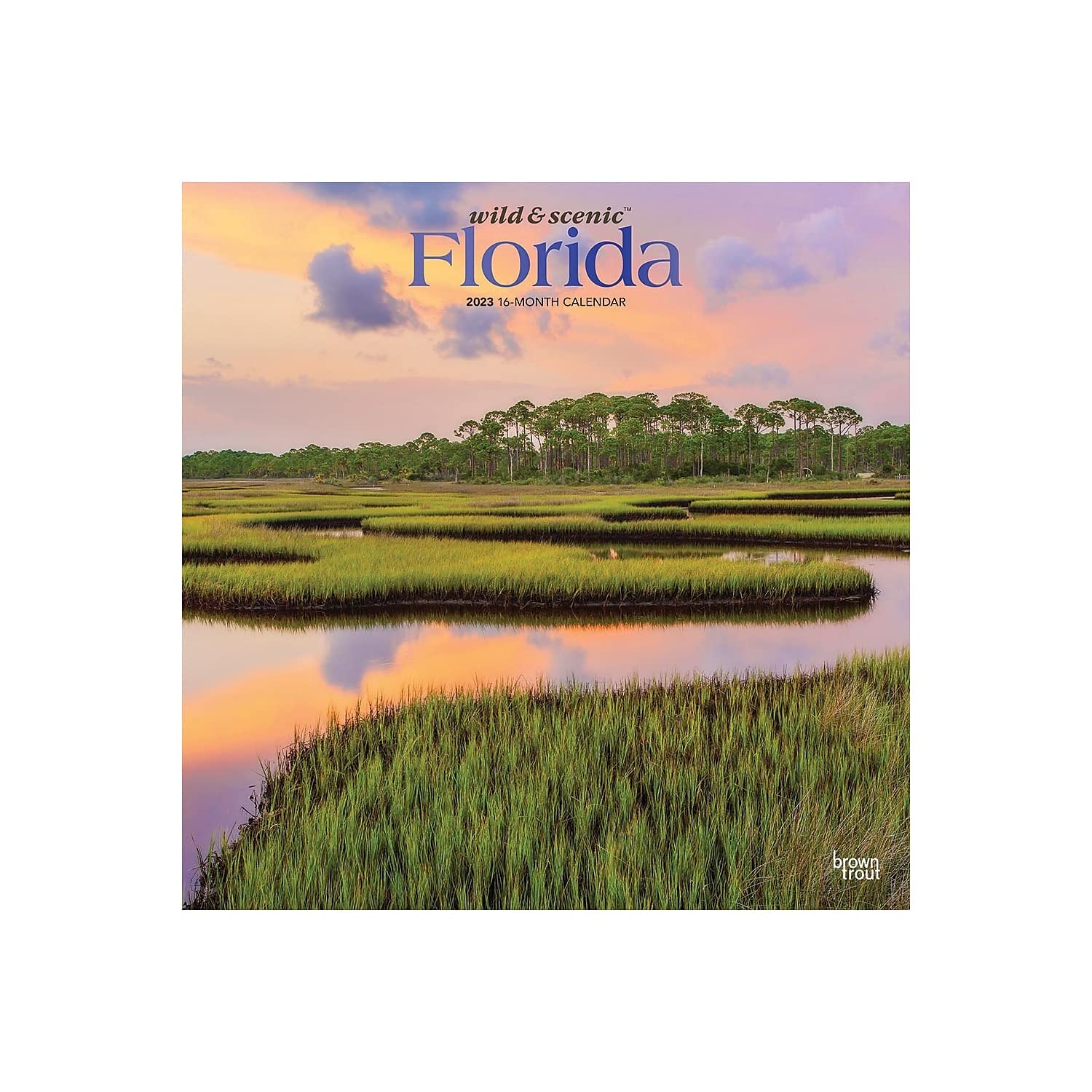 Florida Wild & Scenic | 2023 12 x 24 Inch Monthly Square Wall Calendar | Foil Stamped Cover | BrownTrout | USA United States of America Southeast State Nature