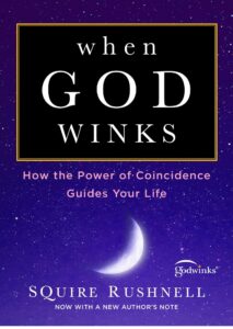 when god winks: how the power of coincidence guides your life (1) (the godwink series)