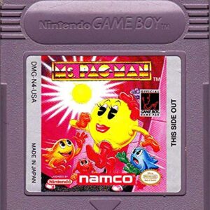 Ms. Pac-Man