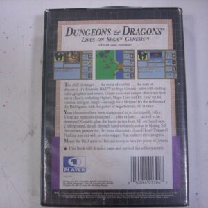 Dungeons & Dragons: Warriors of the Eternal Sun