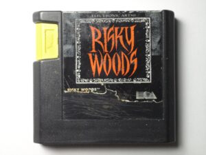 risky woods - sega genesis