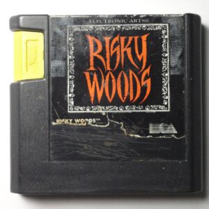 Risky Woods - Sega Genesis