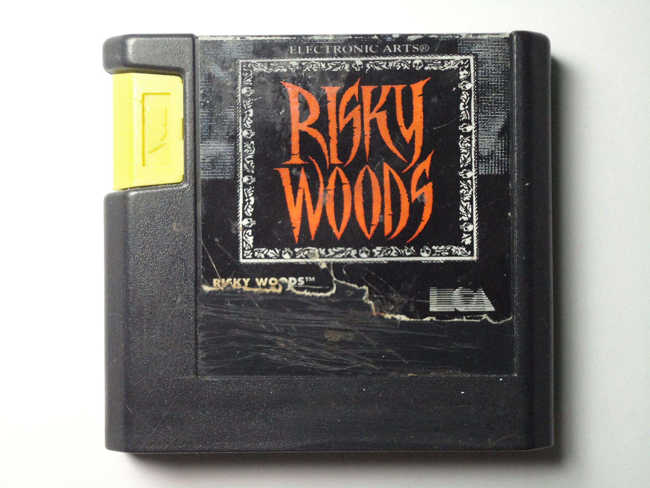 Risky Woods - Sega Genesis