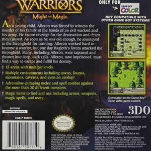 Warriors of Might & Magic