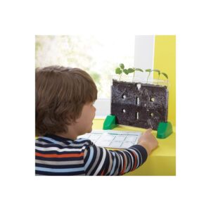 Educational Insights Sprout & Grow Window Plant Growing Kit, Science Kit for Homeschool & Classrooms, Ages 5+