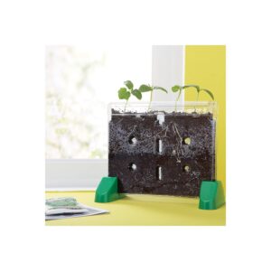 Educational Insights Sprout & Grow Window Plant Growing Kit, Science Kit for Homeschool & Classrooms, Ages 5+