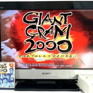 Giant Gram 2000: All-Japan Pro Wrestling 3 [Japan Import]