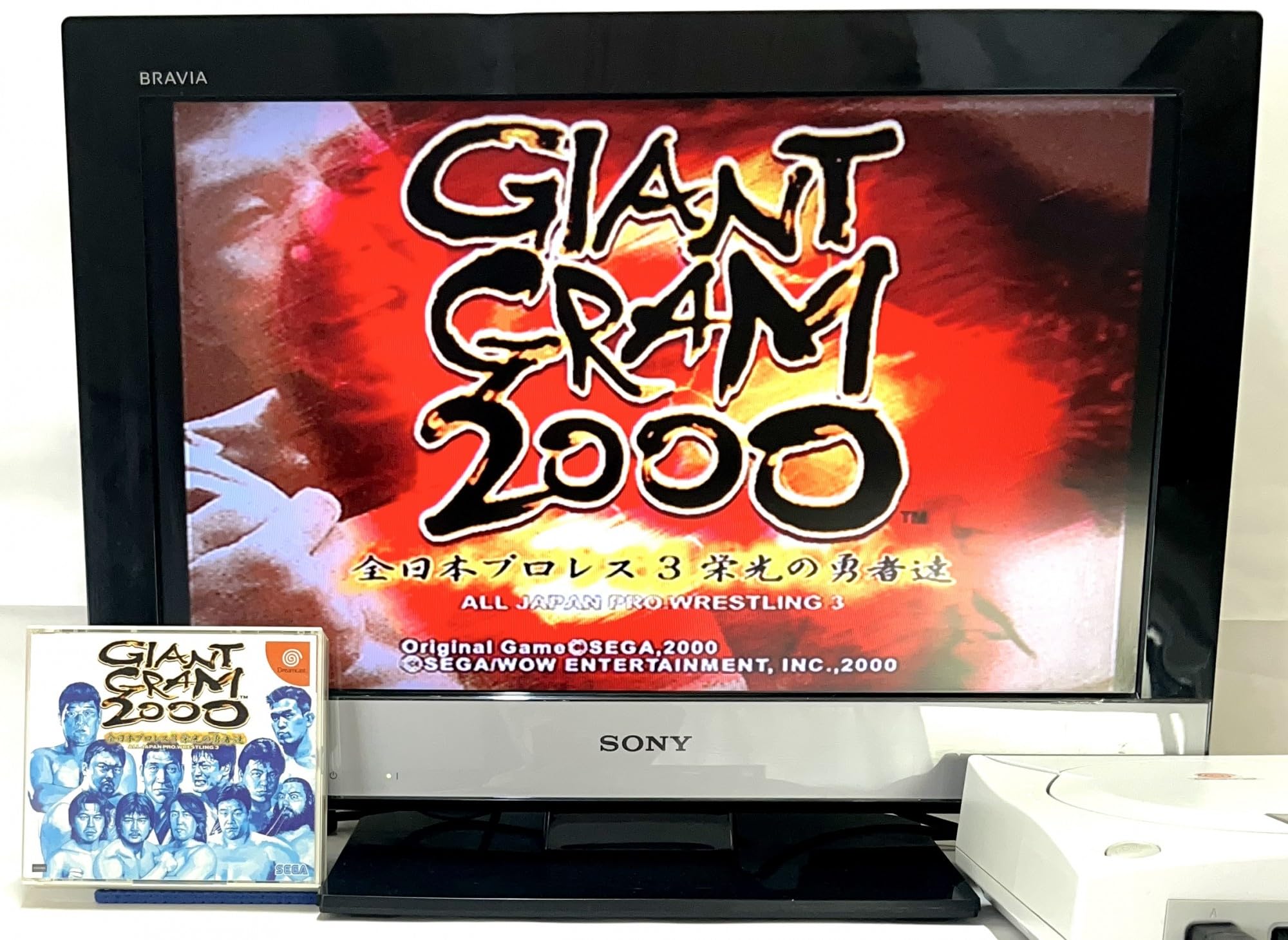 Giant Gram 2000: All-Japan Pro Wrestling 3 [Japan Import]