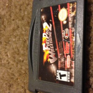 Fire Pro Wrestling 2 - Game Boy Advance