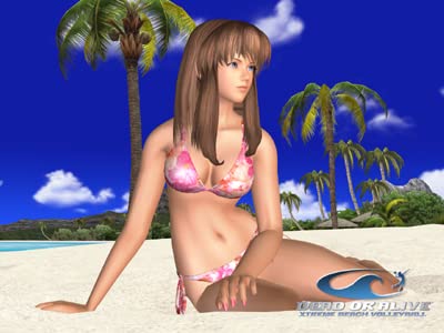 Dead or Alive Xtreme Beach Volleyball [Japan Import]