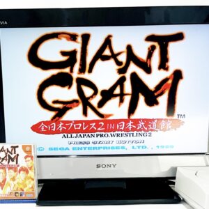 Giant Gram: All Japan ProWrestling 2 [Japan Import]