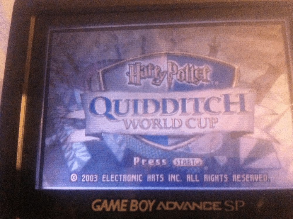 Harry Potter Quidditch World Cup