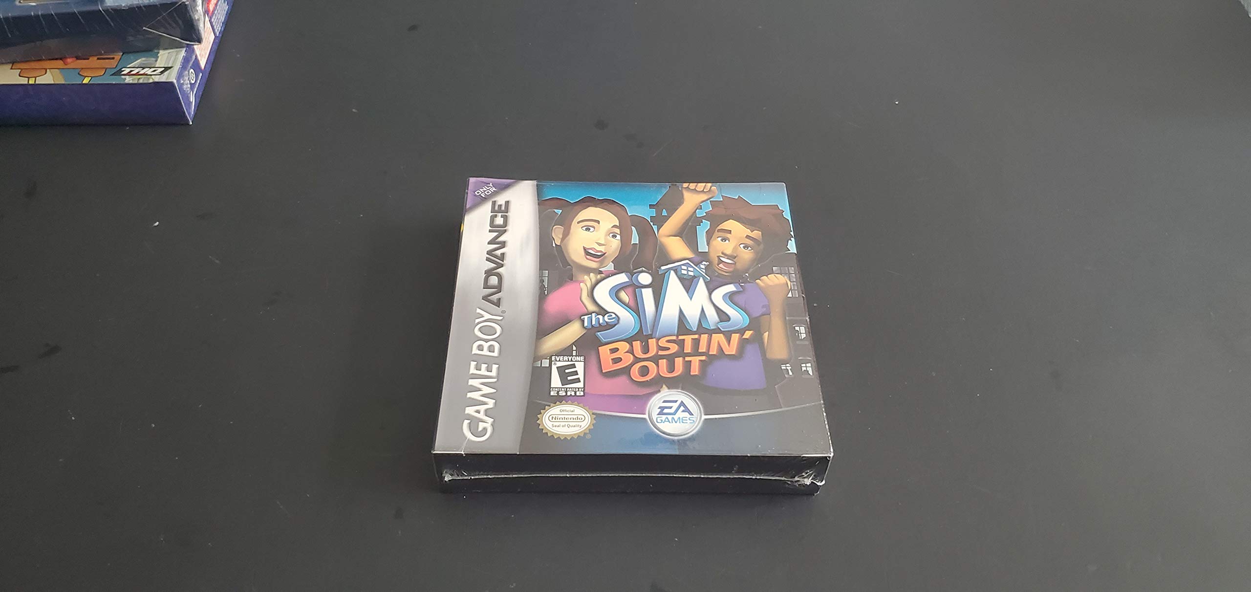 The Sims: Bustin' Out