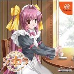 chocolate: maid cafe curio [japan import]