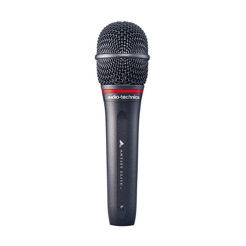 Audio-Technica Microphone, XLR, Black (AE6100)