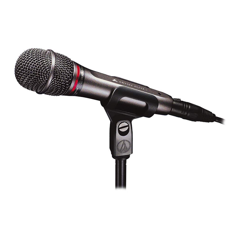 Audio-Technica Microphone, XLR, Black (AE6100)