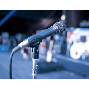 Audio-Technica Microphone, XLR, Black (AE6100)