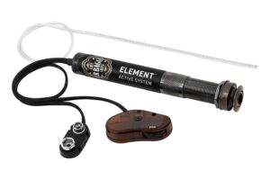 lr baggs element active system