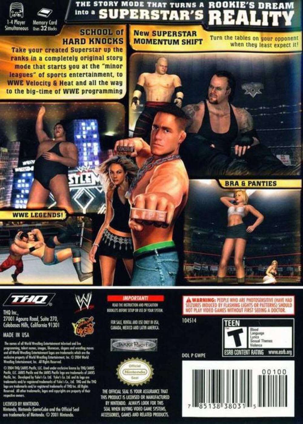 WWE Day of Reckoning - Gamecube