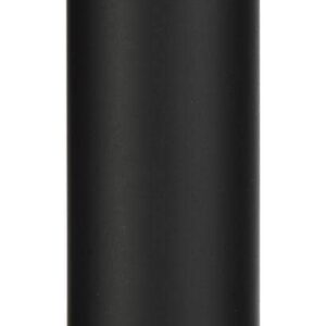 Beyerdynamic M160 Double Ribbon Microphone - Hypercardioid, Wired, Wireless