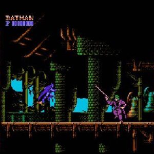 Batman: The Video Game