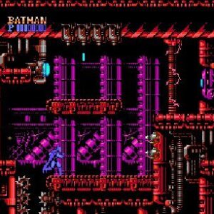 Batman: The Video Game