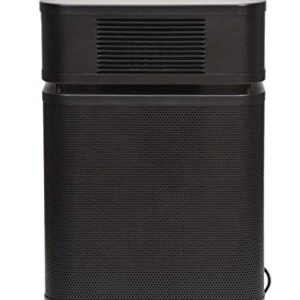 Austin Air HealthMate Standard Air Purifier (B400B1) Black