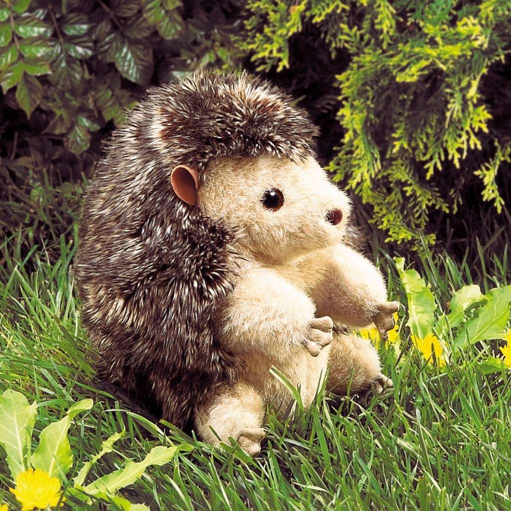 Folkmanis Hedgehog Hand Puppet