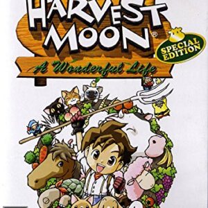 Harvest Moon A Wonderful Life Special Edition - PlayStation 2