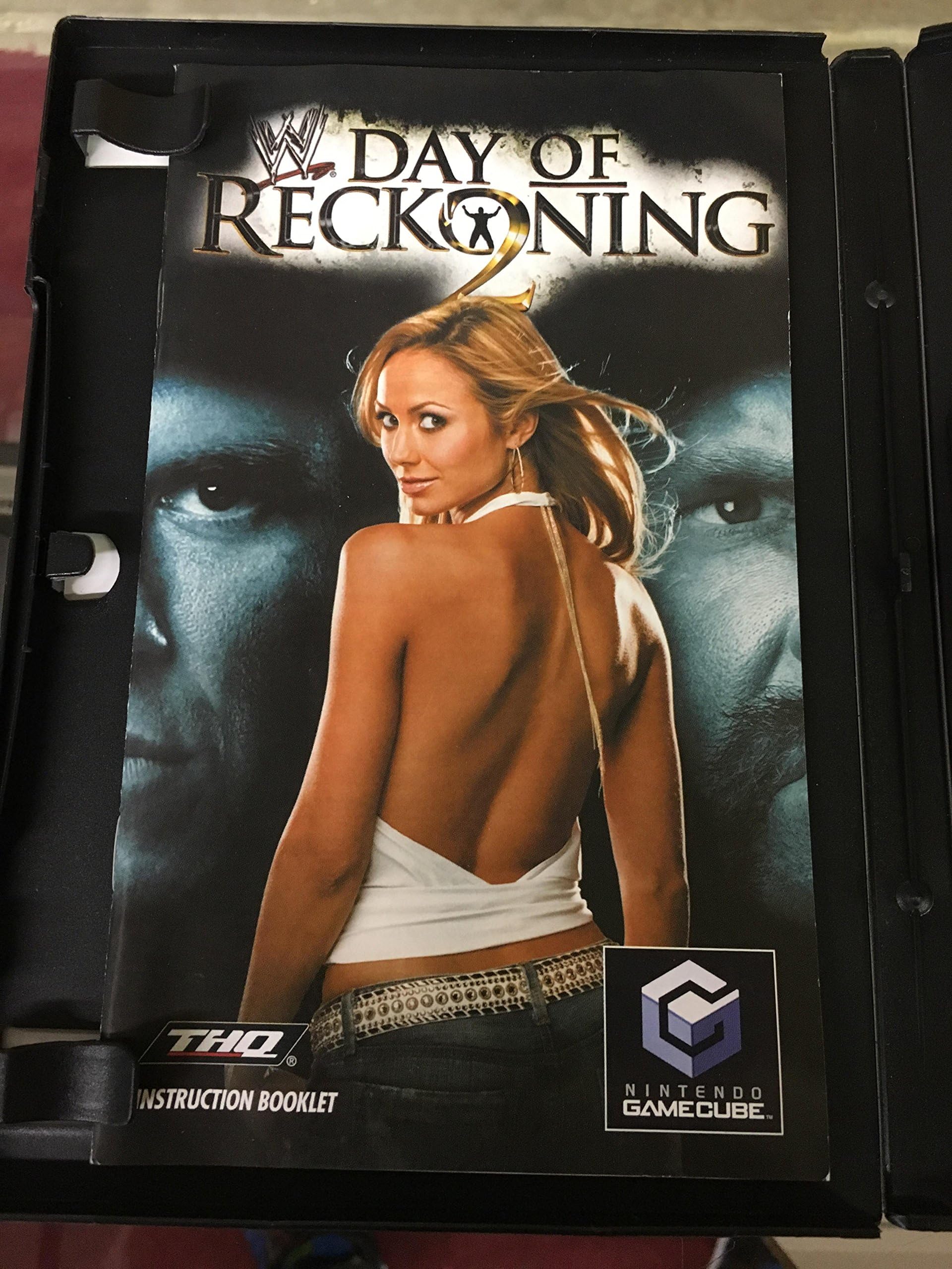 WWE Day of Reckoning 2 - Gamecube