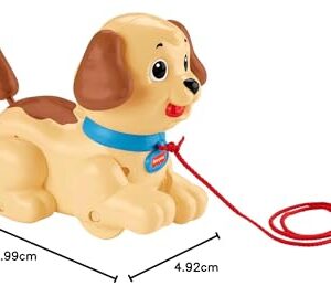 Fisher-Price Toddler Toy Lil’ Snoopy Pull-Along Puppy Dog, Walking Activity for Developmental Play Infants Ages 1+ Years