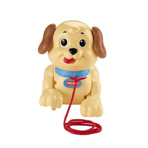 Fisher-Price Toddler Toy Lil’ Snoopy Pull-Along Puppy Dog, Walking Activity for Developmental Play Infants Ages 1+ Years