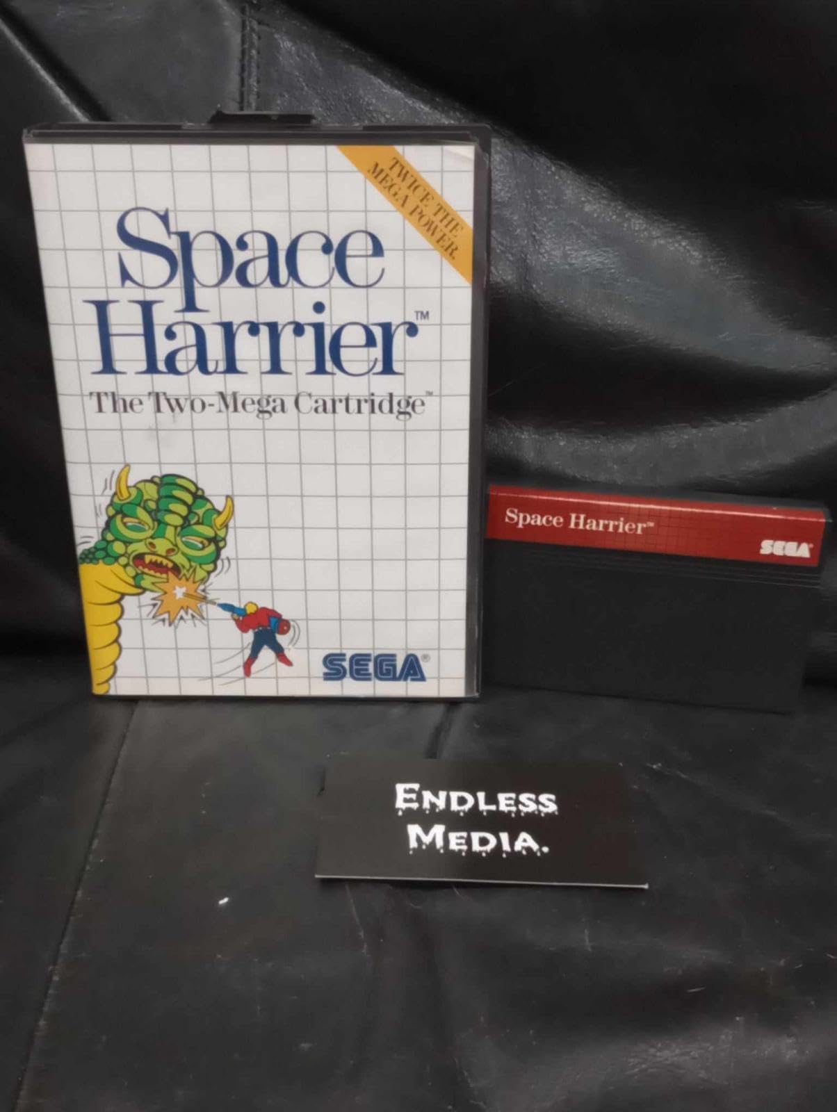 Space Harrier : Sega Master