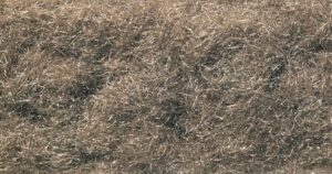 woodland scenics static grass flock shaker, burnt grass/50 cu. in.