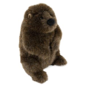 Douglas Chuckwood Groundhog Woodchuck Plush Stuffed Animal