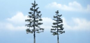 woodland scenics premium pine tree, 5.25"/4" (2)