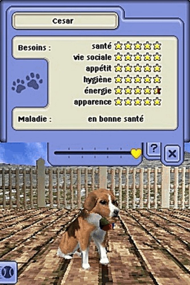 The Sims 2: Pets (Nintendo DS)