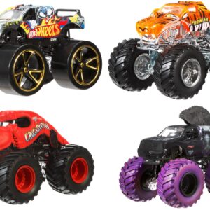 Hot Wheels Monster Jam Tour Favorites – Styles May Vary