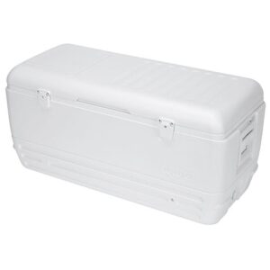 igloo 150qt. cooler