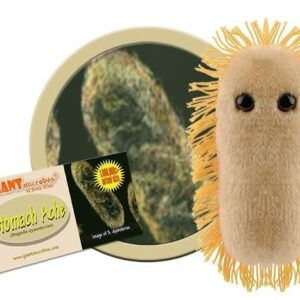 GIANTmicrobes Stomach Ache Plush - Learn About Microbes and Health, Fun Educational Gift for Family, Friends, Doctors, Nurses, Educators and Anyone with a Healthy Sense of Humor