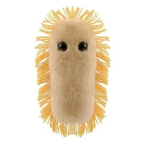 GIANTmicrobes Stomach Ache Plush - Learn About Microbes and Health, Fun Educational Gift for Family, Friends, Doctors, Nurses, Educators and Anyone with a Healthy Sense of Humor