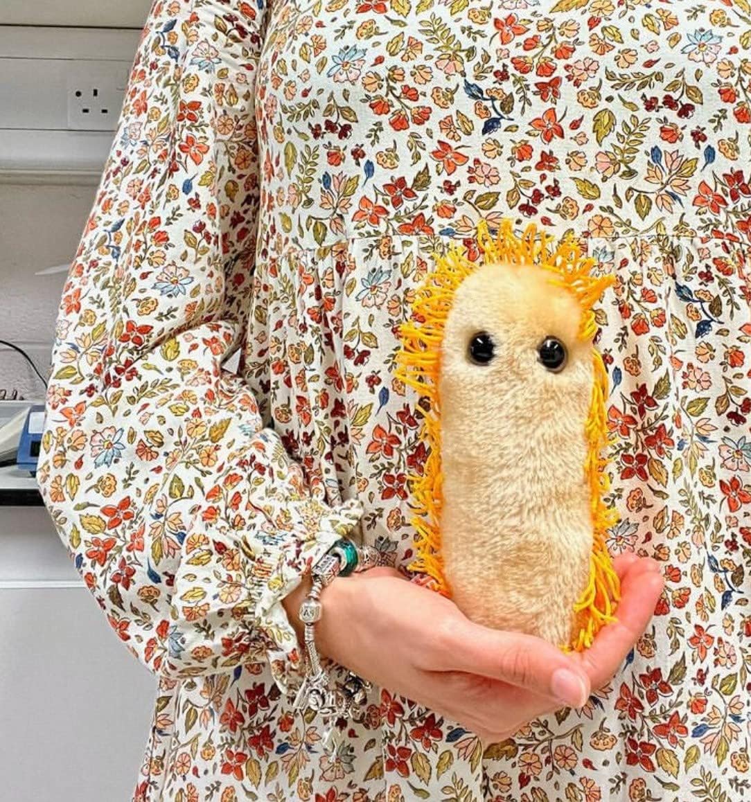 GIANTmicrobes Stomach Ache Plush - Learn About Microbes and Health, Fun Educational Gift for Family, Friends, Doctors, Nurses, Educators and Anyone with a Healthy Sense of Humor