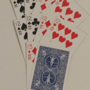 Bicycle Six Handed 500 Card Deck