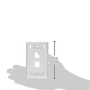 Hubbell IFP12W Flush Phone/Data/Multimedia Wall Plate, 1 Gang, 2 Port, White (Pack of 25)