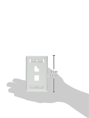 Hubbell IFP12W Flush Phone/Data/Multimedia Wall Plate, 1 Gang, 2 Port, White (Pack of 25)