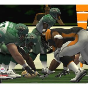 Arena Football: Road to Glory