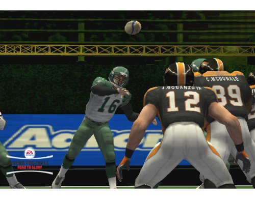 Arena Football: Road to Glory