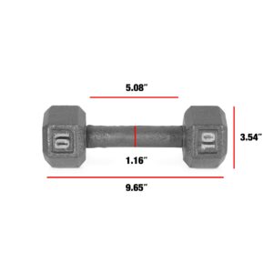 CAP Barbell Solid Hex Dumbbell, Single (10-Pound)