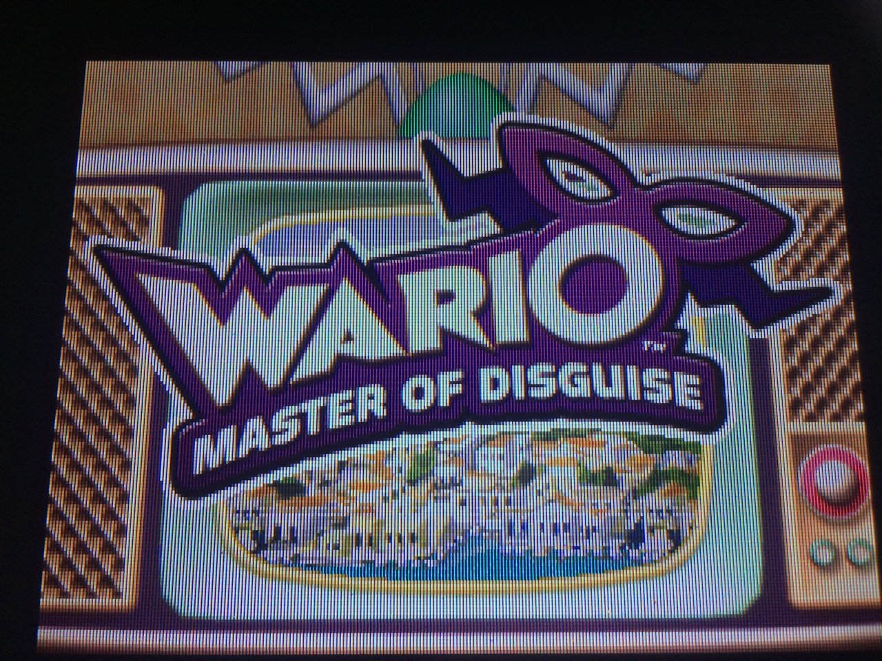 Wario: Master of Disguise